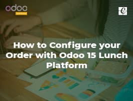 Insurance Management System Using Odoo App