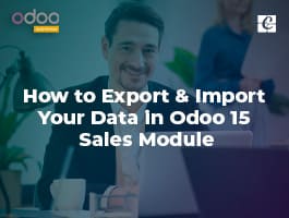 Fields and Parameters in Odoo