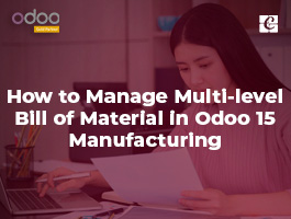 Many2many fields and Its widgets in Odoo