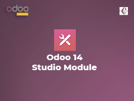Odoo 13 Studio | Odoo Studio Basics
